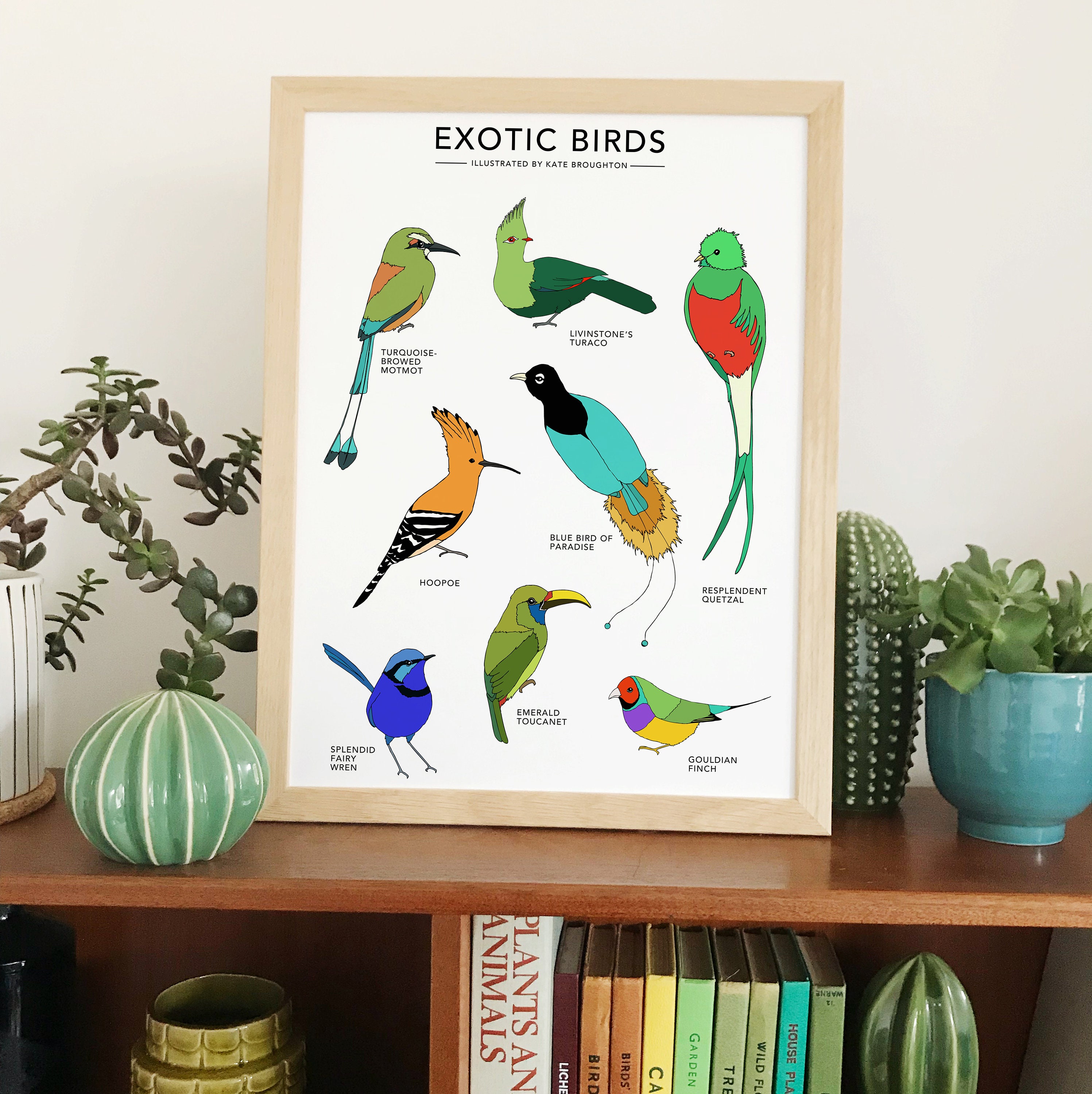 Exotic Birds Print Illustrated Wildlife Poster Tropical - Etsy UK