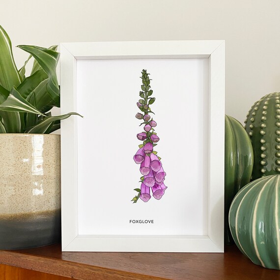 Foxglove Illustrated Wildflower Print Small A5 Print - Etsy UK