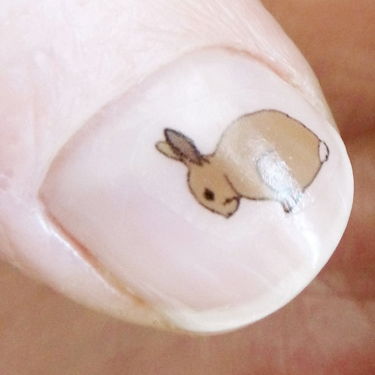 Rabbit Nail Transfers Illustrated Bunny Nail Art / Nail - Etsy UK