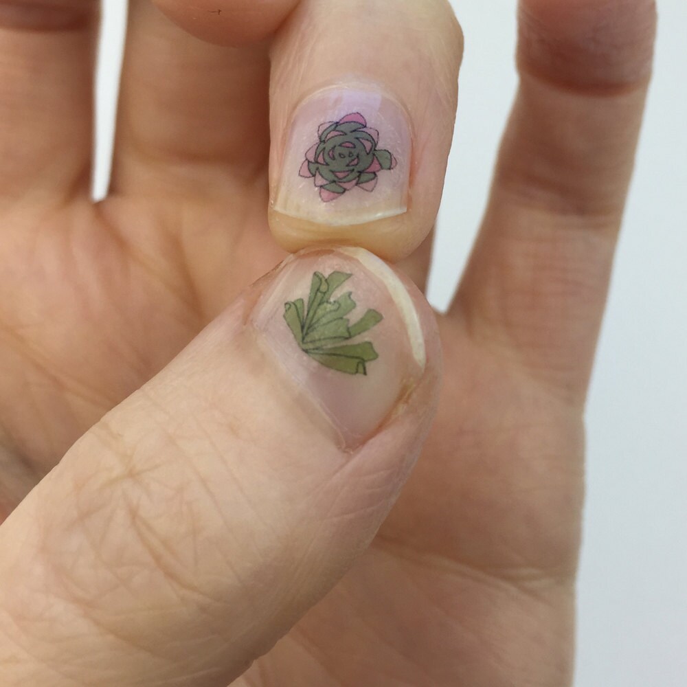 Succulent Plant Nail Transfers Plant Nail Art Handmade | Etsy UK