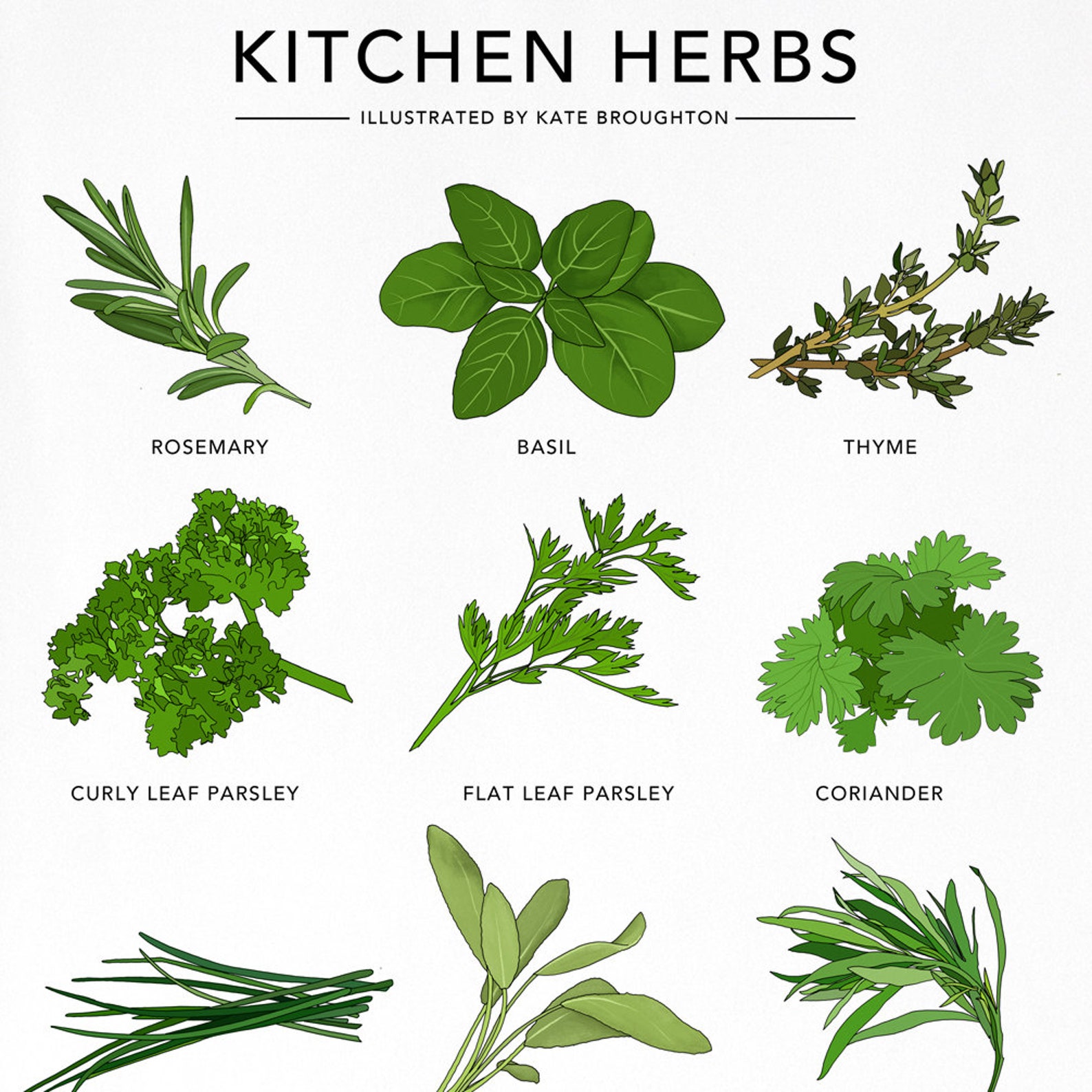 Kitchen Herbs Print Illustrated Plant Poster Wall Art Home - Etsy