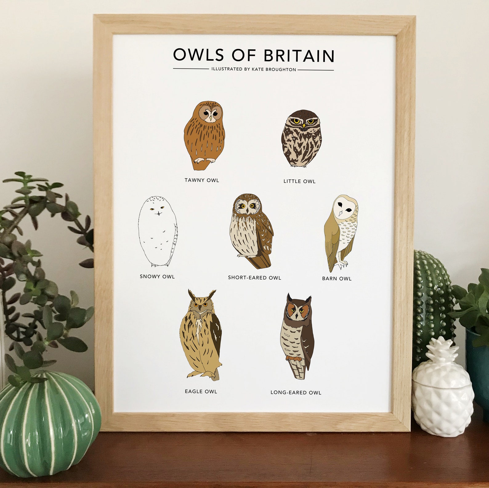 Owls of Britain Print Owl Wall Art Illustrated Bird Poster | Etsy