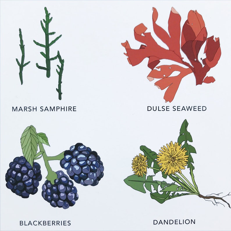 British Wild Food print wild food illustrated poster wall | Etsy