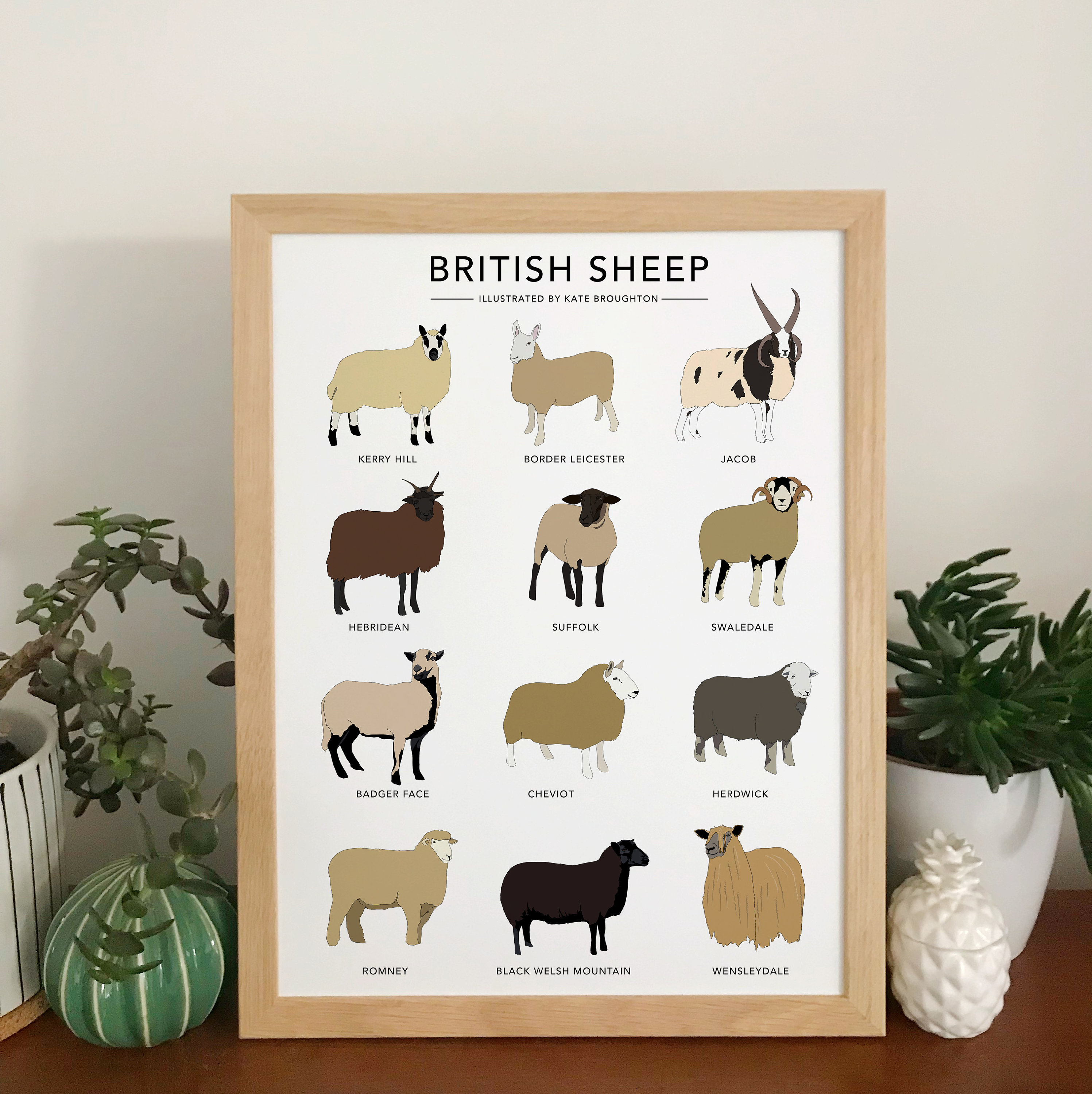 British Sheep Breeds Illustration Print - Etsy UK