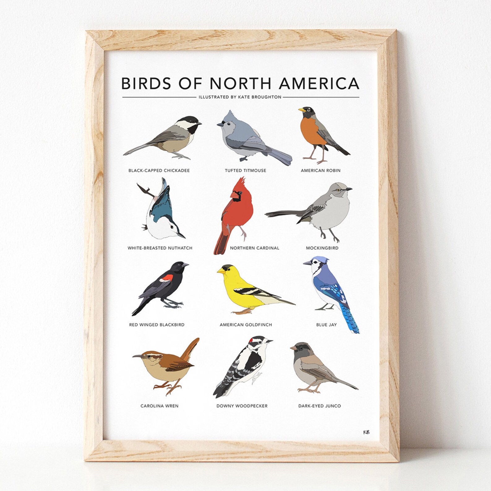 Birds of North America Print Garden Bird Poster - Etsy