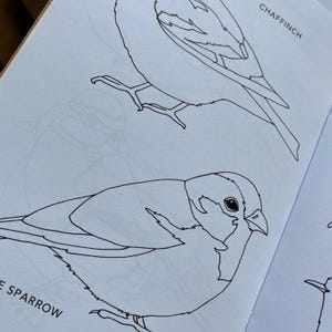Colouring Book of British Birds - 100% Recycled - Etsy