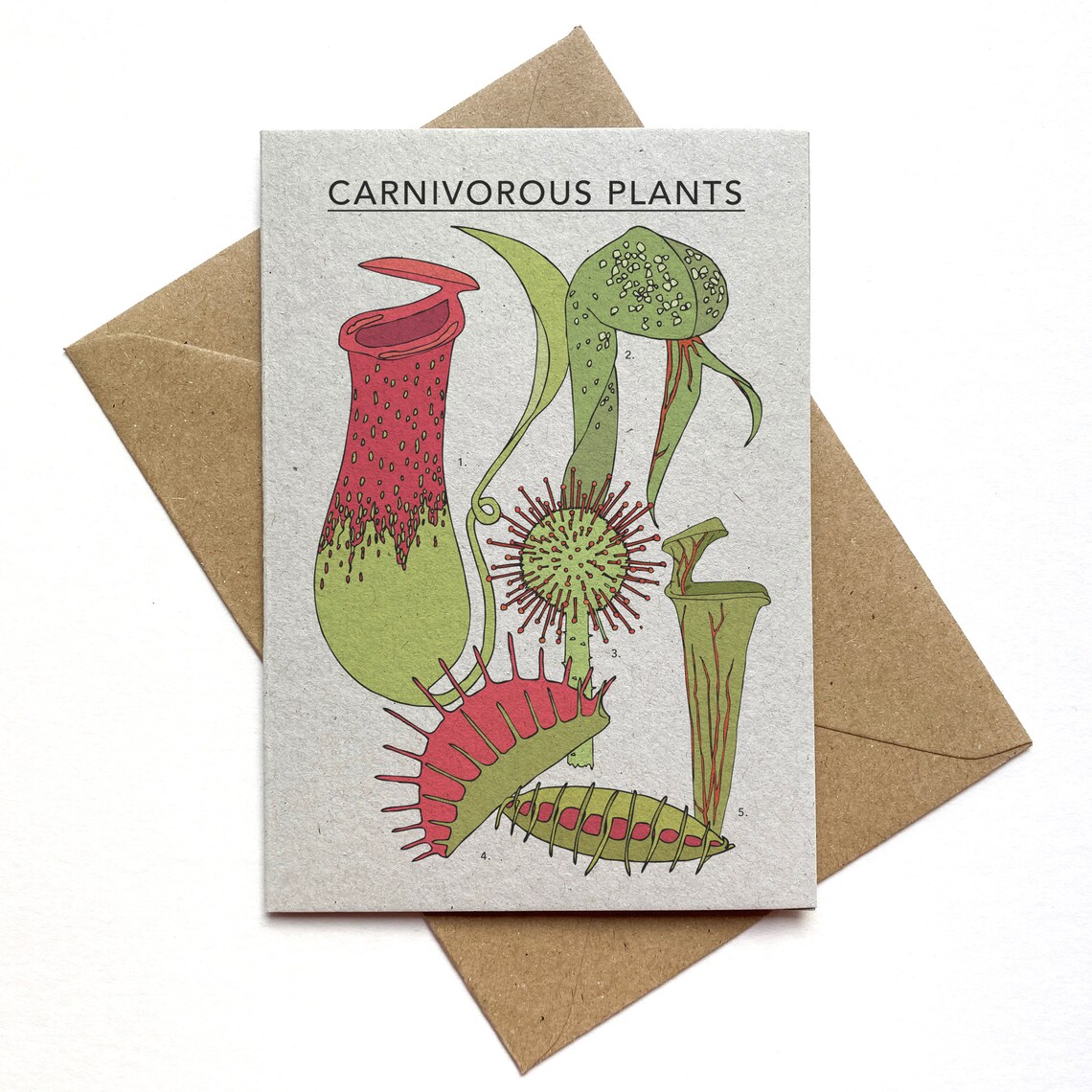 Carnivorous Plants Card Plant Illustration Eco Friendly | Etsy