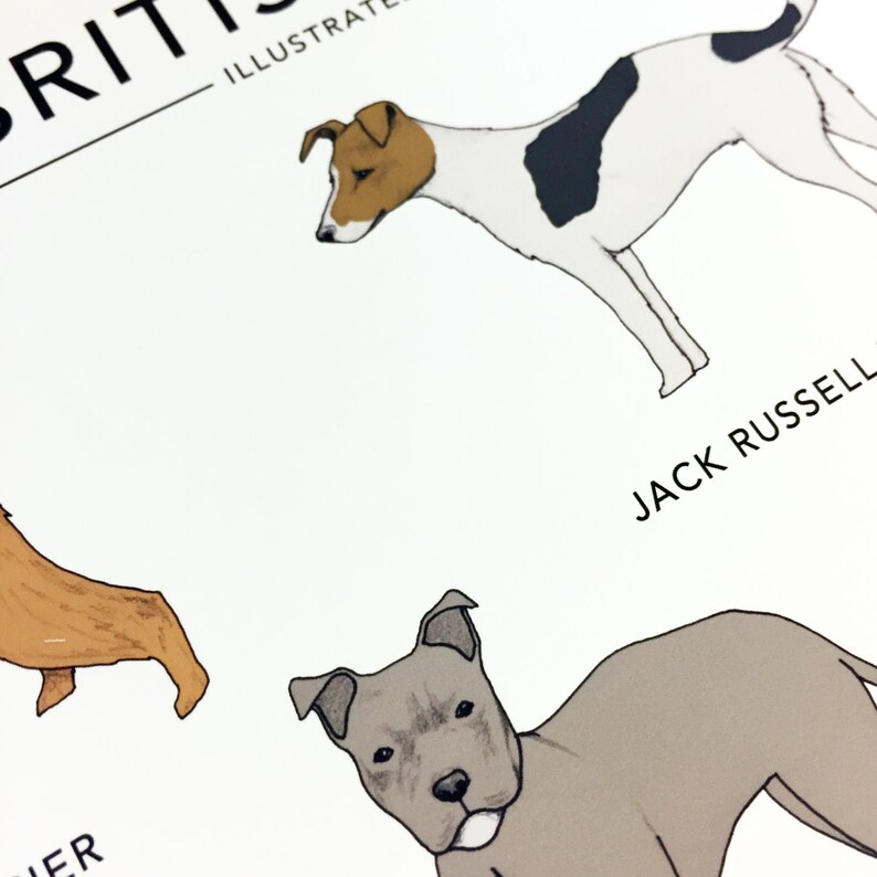 British Terriers print / dog wall art / dog decor dog breed | Etsy