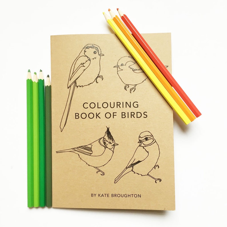 Colouring Book of British Birds 100% Recycled | Etsy