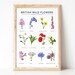 British Wild Flowers Print Wildflower Poster / Wall Art - Etsy UK