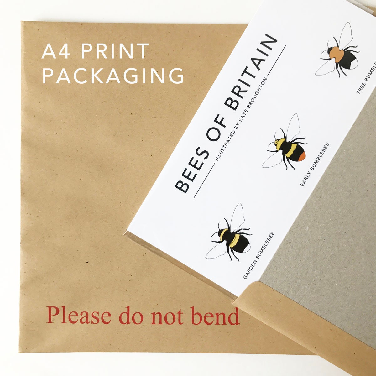 Chilli Peppers Print Illustrated Kitchen Wall Art | Etsy