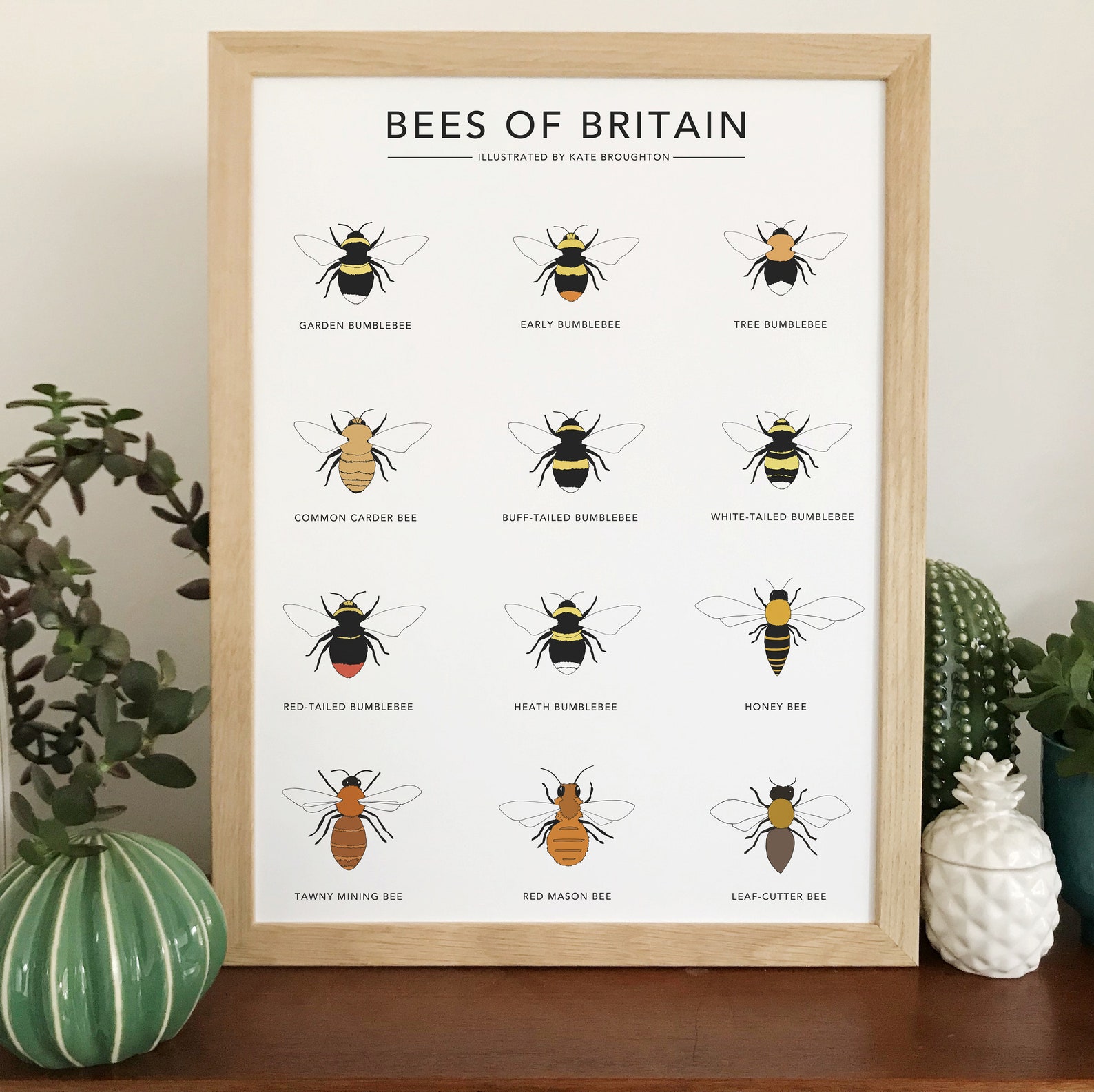 Bee Print Bees of Britain Wildlife Illustration Nature | Etsy UK