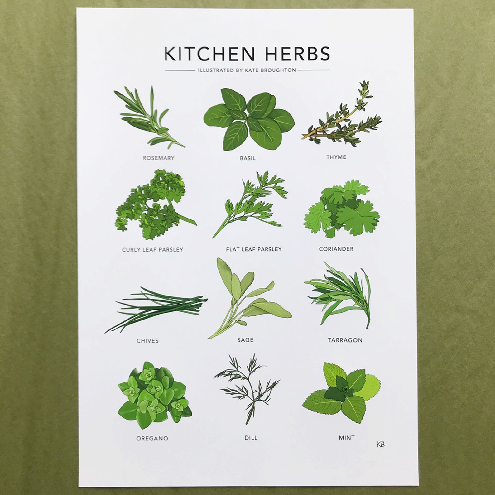 Kitchen Herbs Print Illustrated Plant Poster Wall Art Home | Etsy