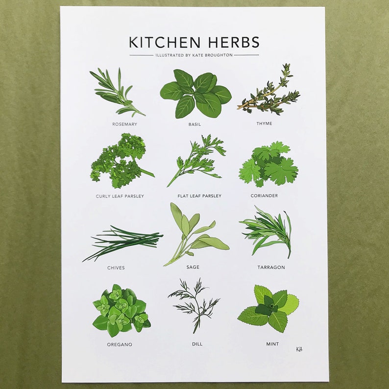 Kitchen Herbs Print Illustrated Plant Poster Wall Art Home - Etsy
