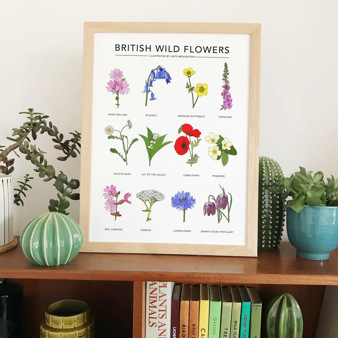 British Wild Flowers Print - Wildflower Poster / Wall Art - Etsy