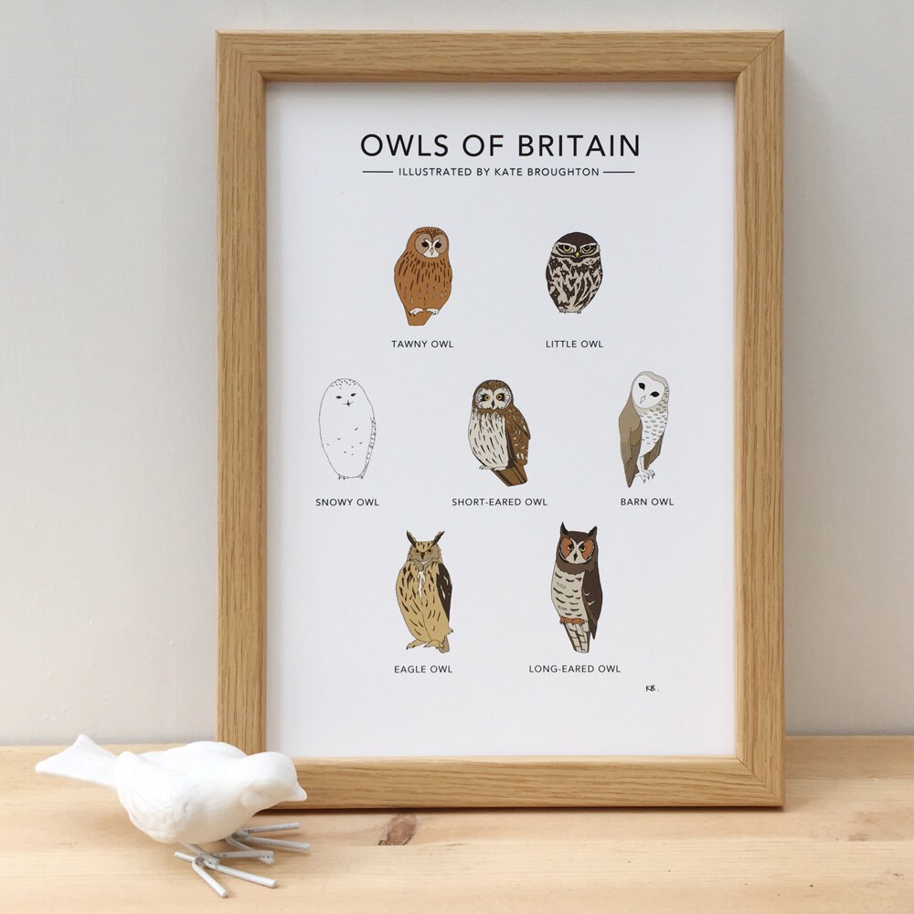 Owls of Britain Print Owl Wall Art Illustrated Bird Poster | Etsy
