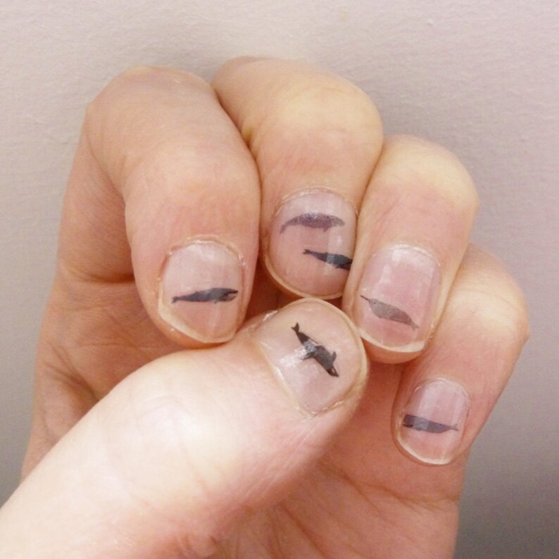 Whale Nail Transfers Illustrated Nail Art Decals Orca | Etsy