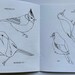 Colouring Book of British Birds 100% Recycled - Etsy