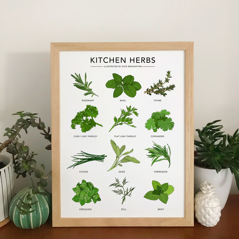 Kitchen Herbs Print Illustrated Plant Poster Wall Art Home - Etsy