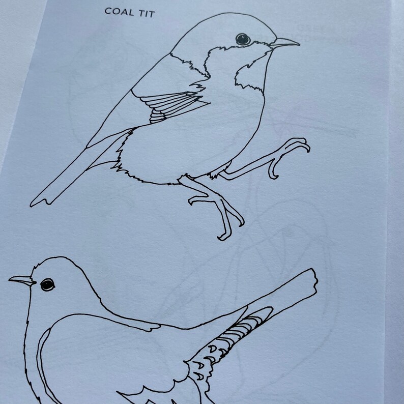 Colouring Book of British Birds 100% Recycled | Etsy