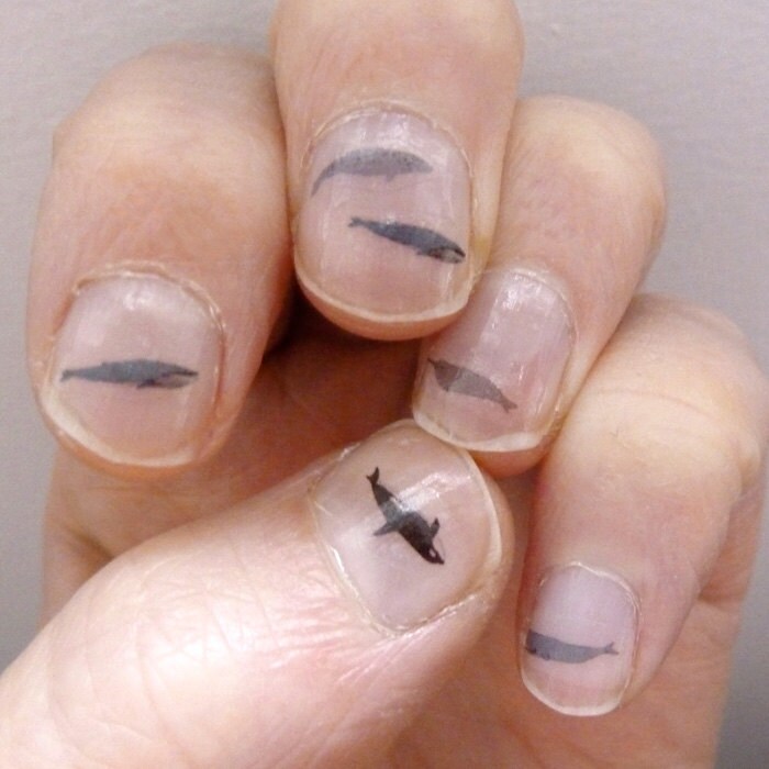 Whale Nail Transfers Illustrated Nail Art Decals Orca | Etsy