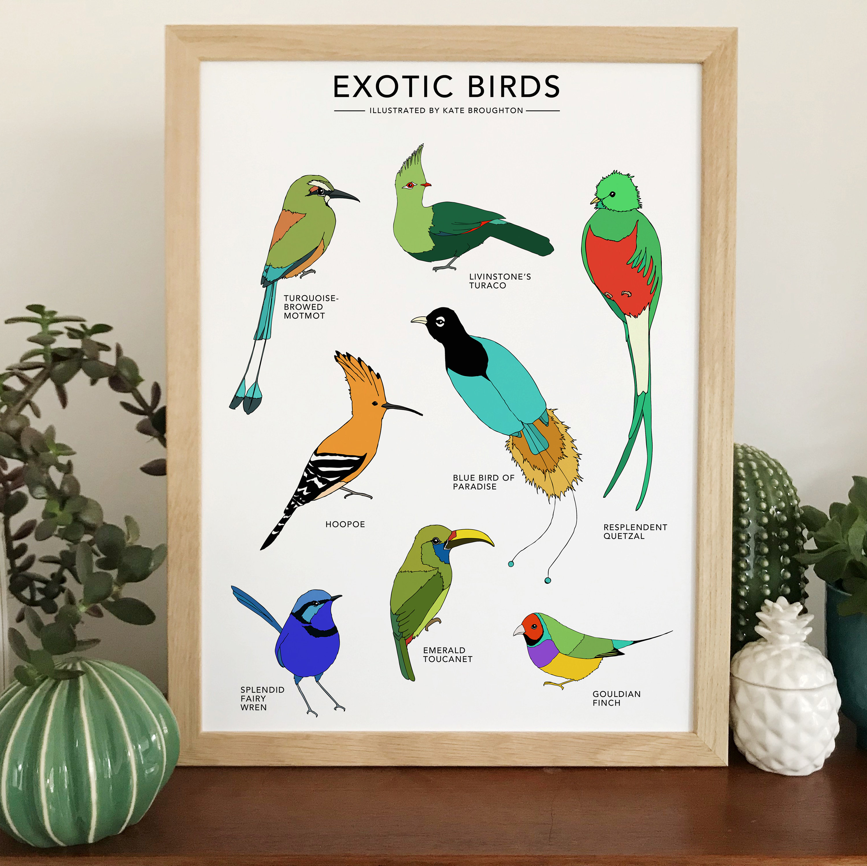 Exotic Birds Print - Illustrated Wildlife Poster - Tropical Bird Wall ...