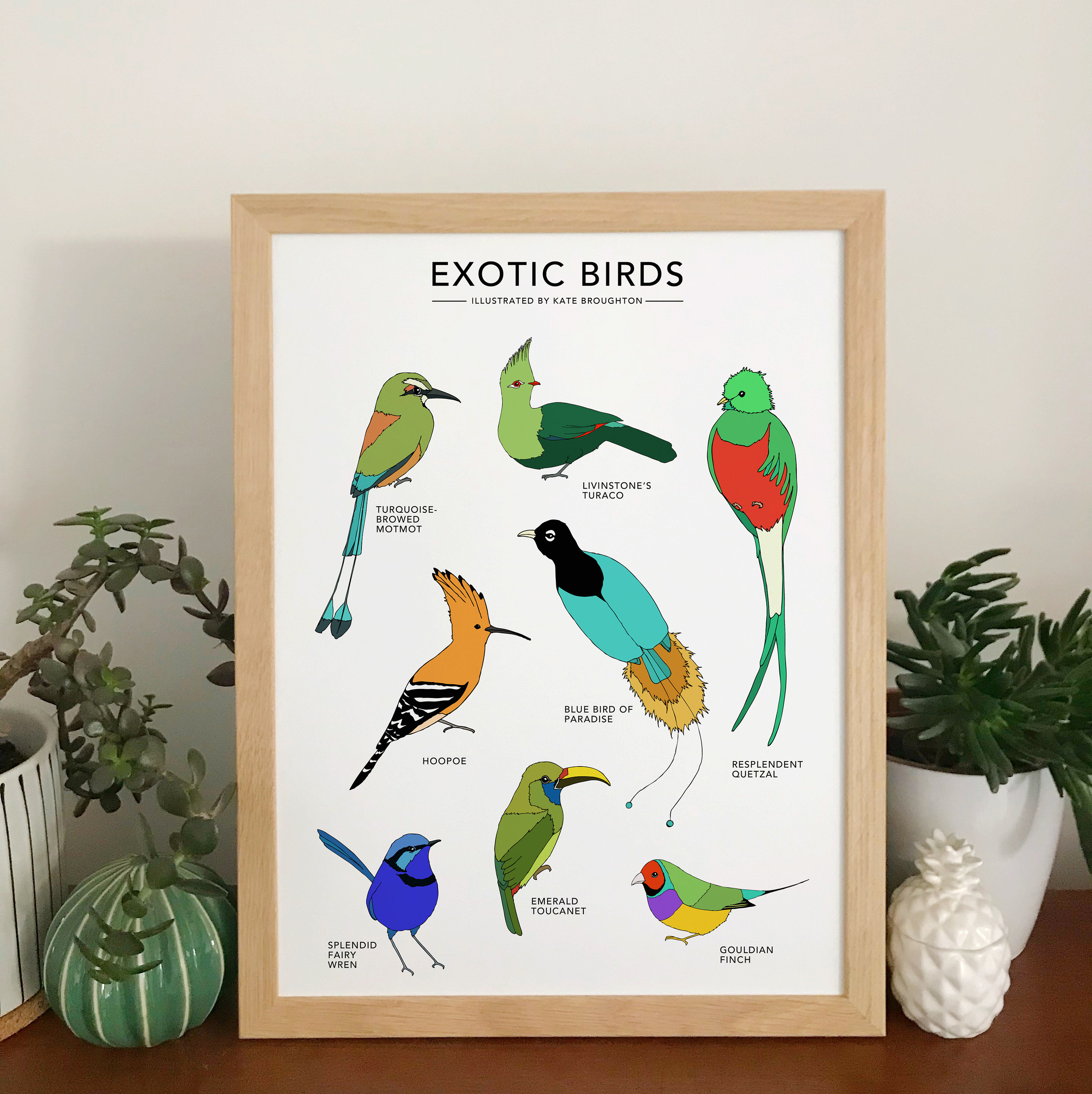 Exotic Birds Print Illustrated Wildlife Poster Tropical - Etsy UK