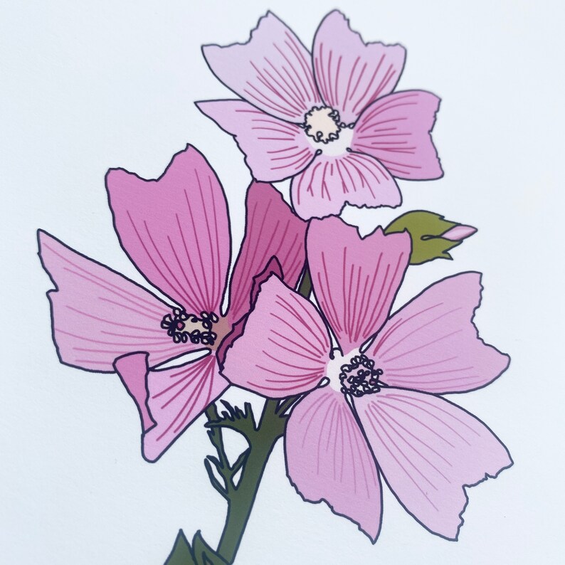 Musk Mallow Illustrated Wildflower Print Small A5 Print - Etsy