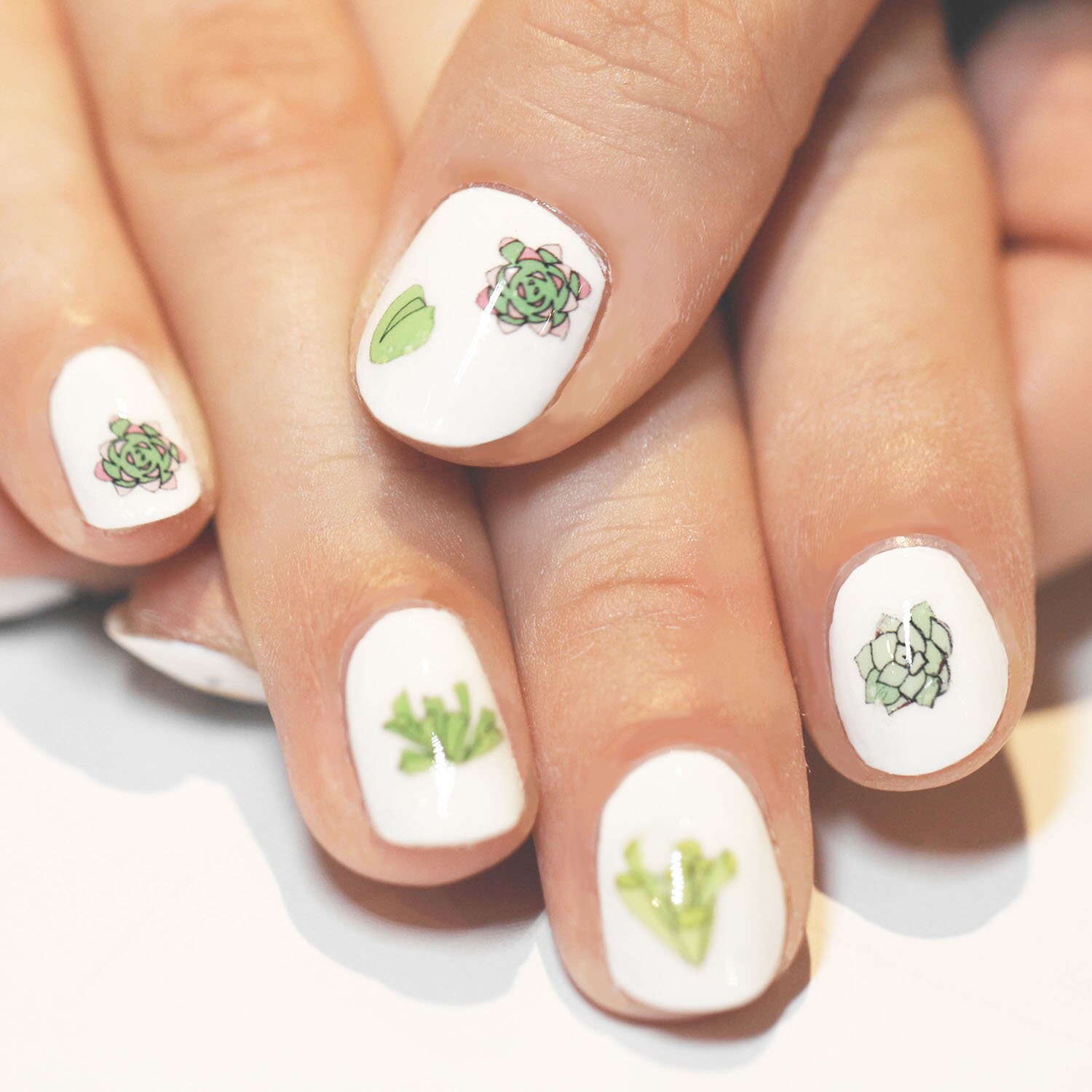 Succulent Plant Nail Transfers Plant Nail Art Handmade | Etsy UK