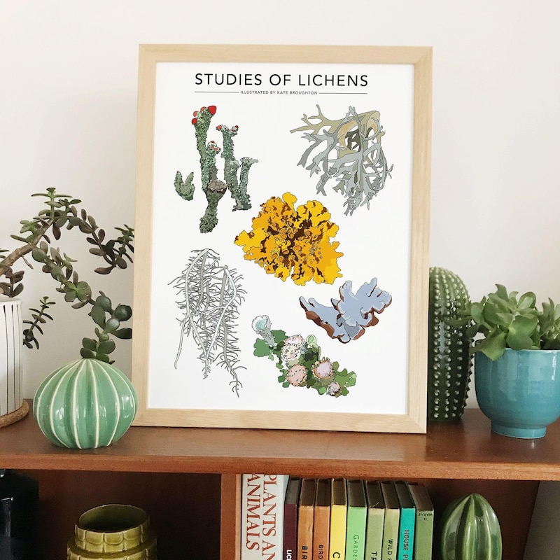 Lichen Drawing - Etsy
