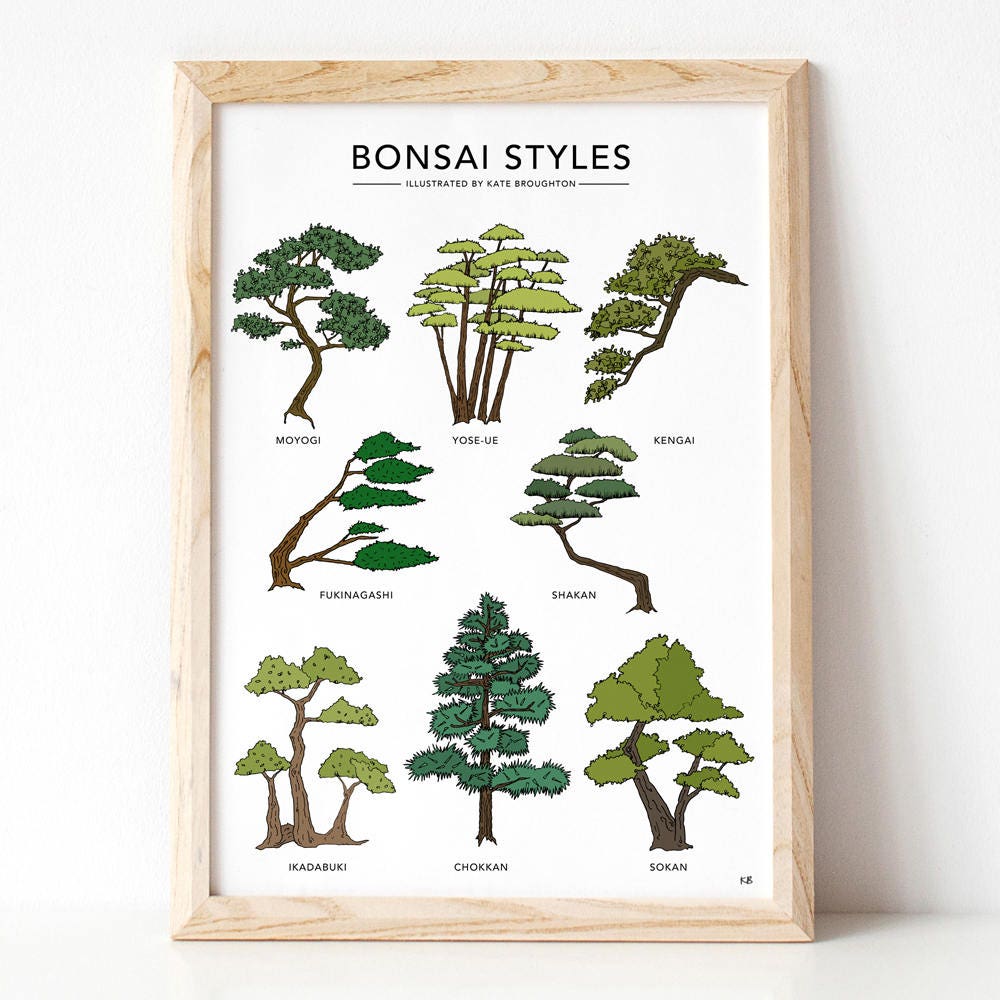 Bonsai Styles Illustrated Print Botanical Tree Poster | Etsy