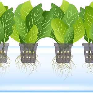 Hydroponic System Desktop Garden Starter Kit - Etsy Canada