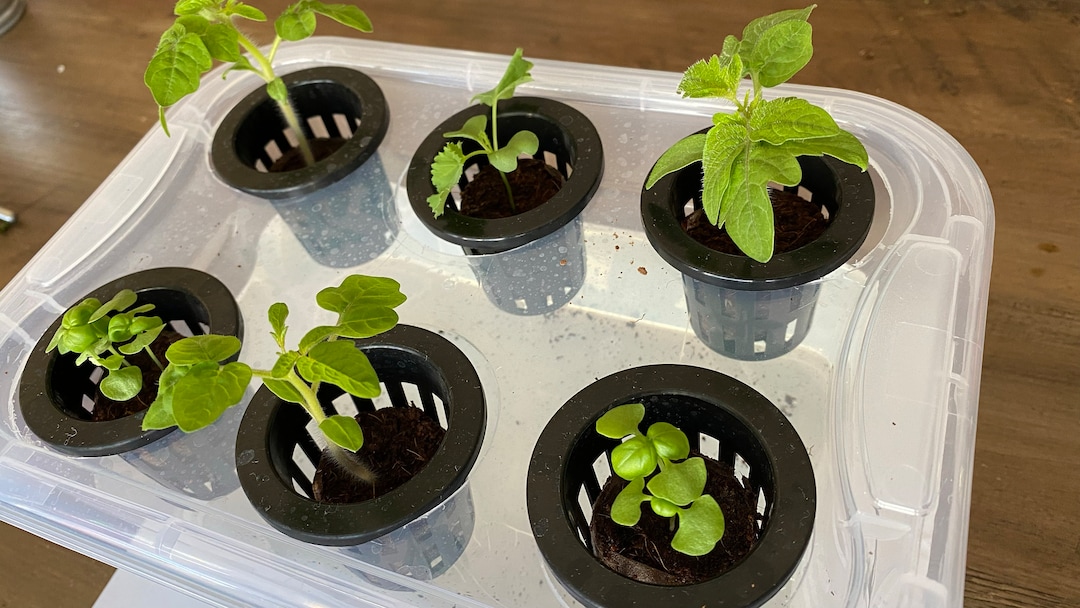 Hydroponic System Desktop Garden Starter Kit - Etsy