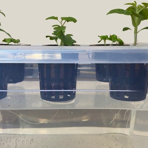 Hydroponic System Desktop Garden Starter Kit - Etsy Canada