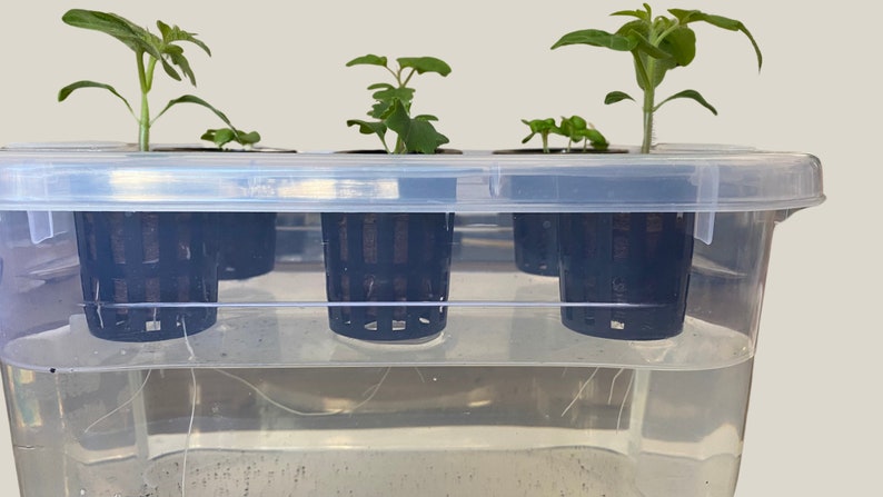 Hydroponic System Desktop Garden Starter Kit - Etsy