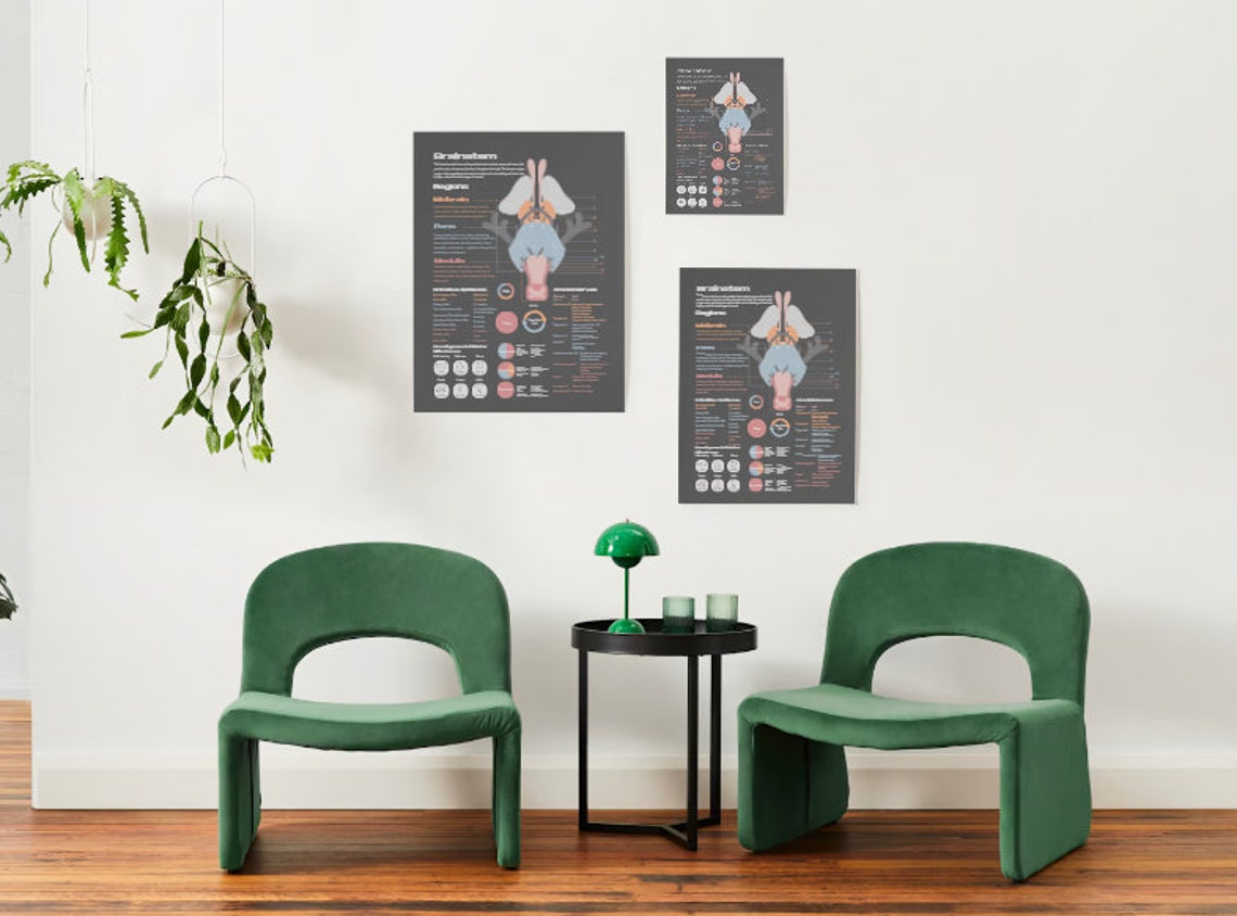 Primitive Reflexes, Primitive Brain, and Cranial Nerves - Etsy