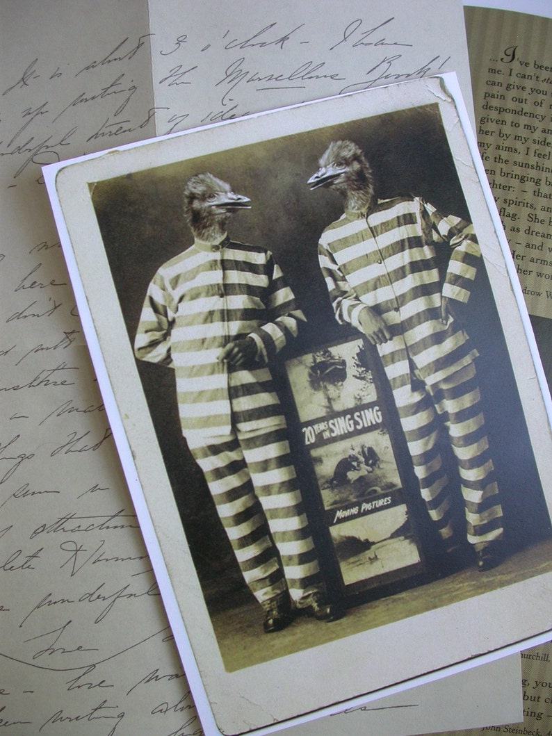 Jail Birds 5x7 Print - Etsy