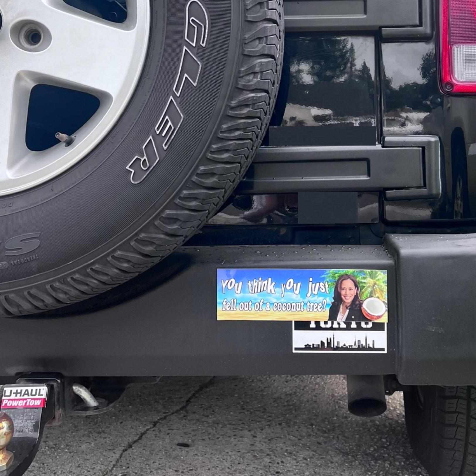 Kamala Harris Funny Meme Bumper Sticker, Fell Out of A Coconut Tree ...