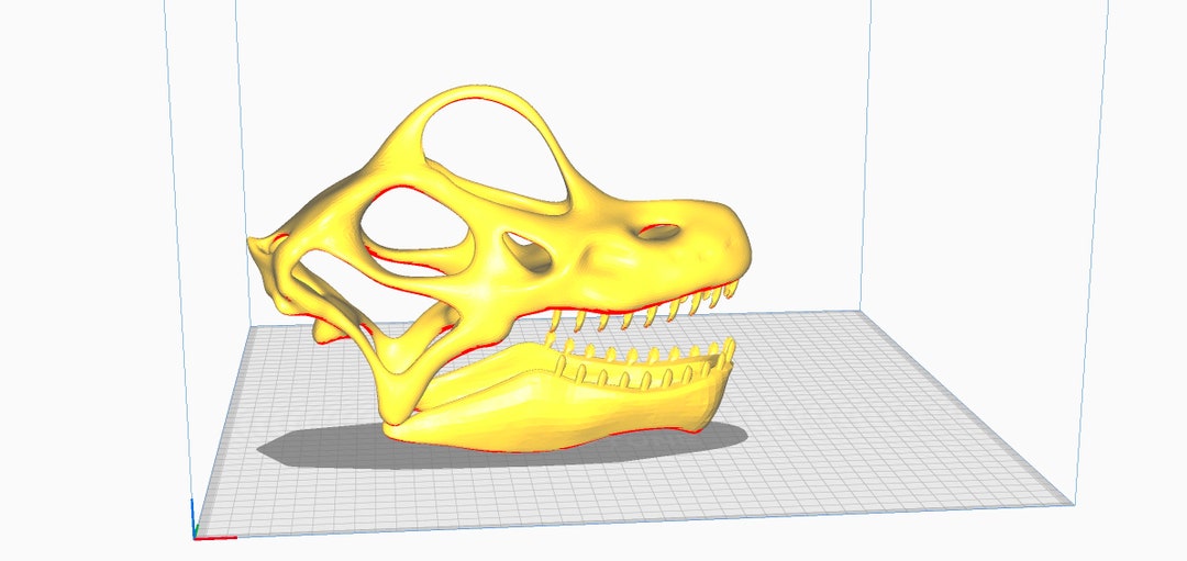 Brachiosaurus Skull STL File - Etsy