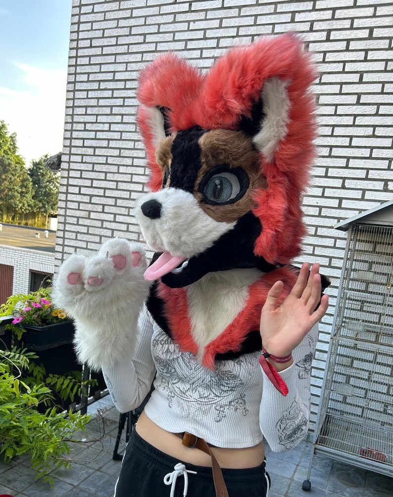 Premade Fursuit Mini Partial, Fox Honden Mascotte Kostuum, Harige Hond ...