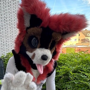 Premade Fursuit Mini Partial, Fox Honden Mascotte Kostuum, Harige Hond ...