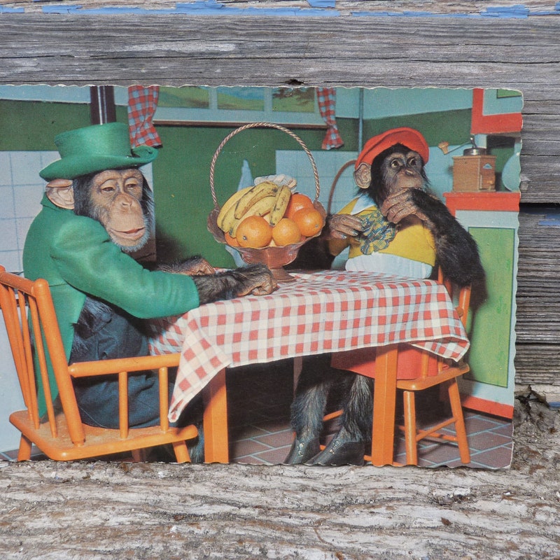 Kitsch Postcards - Etsy