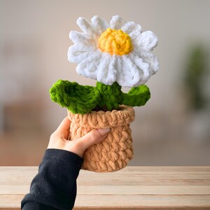 Daisy Flower in a Pot Crochet Pattern, Crochet Flower Garden, Flower ...