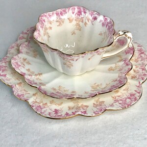 Antique Wileman the Foley China 21 Pce Tea Set. Trailing Ivy Pink & a ...