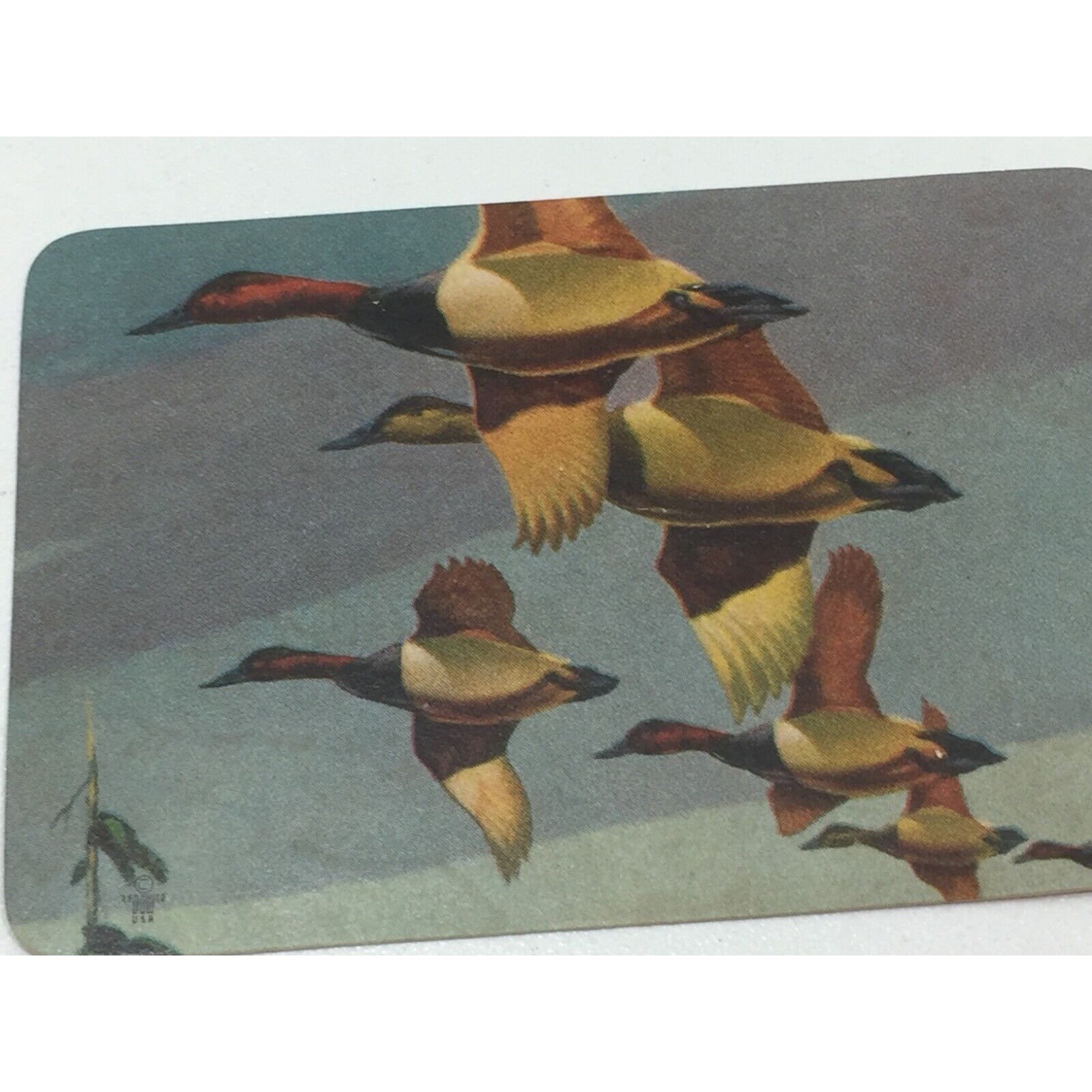 5 Single Swap Playing Cards Duck Ducks Mallard 24810 Flying - Etsy