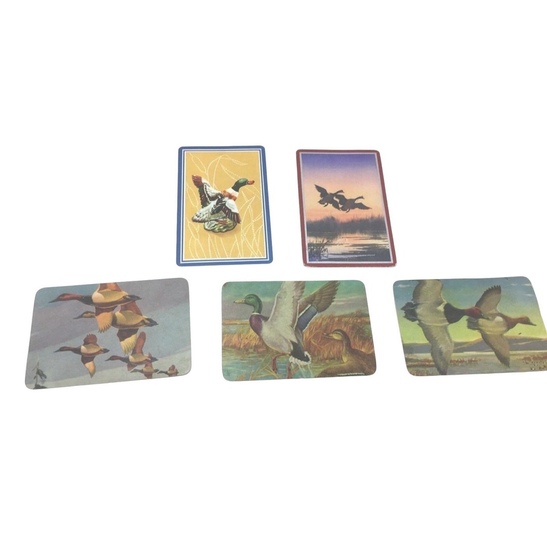 5 Single Swap Playing Cards Duck Ducks Mallard 24810 Flying - Etsy