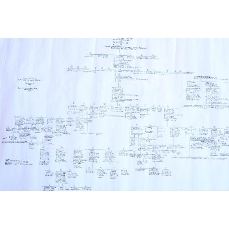 Wells Family Tree Vintage Chart 1933 77480 - Etsy