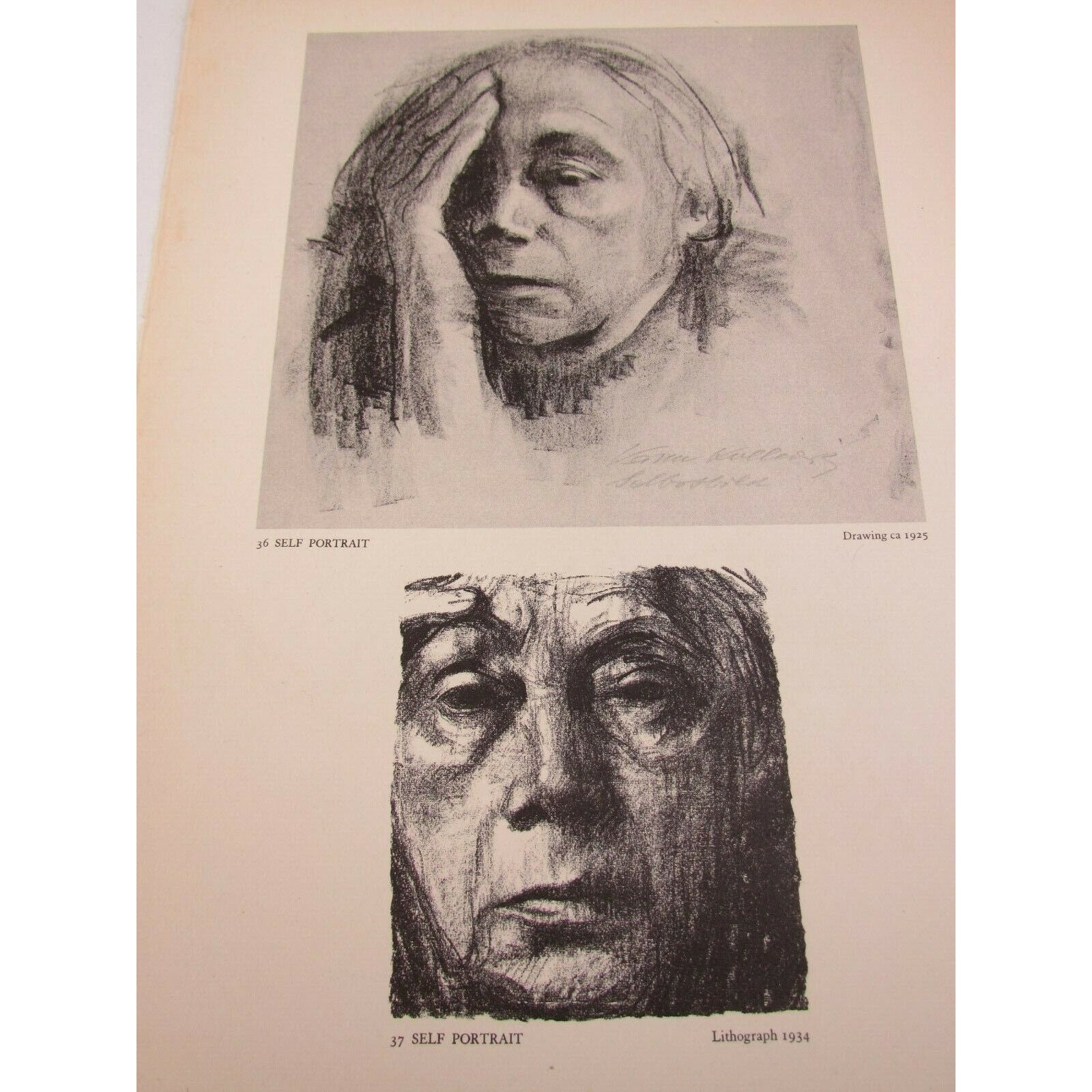 Kathe Kollwitz Self Portrait