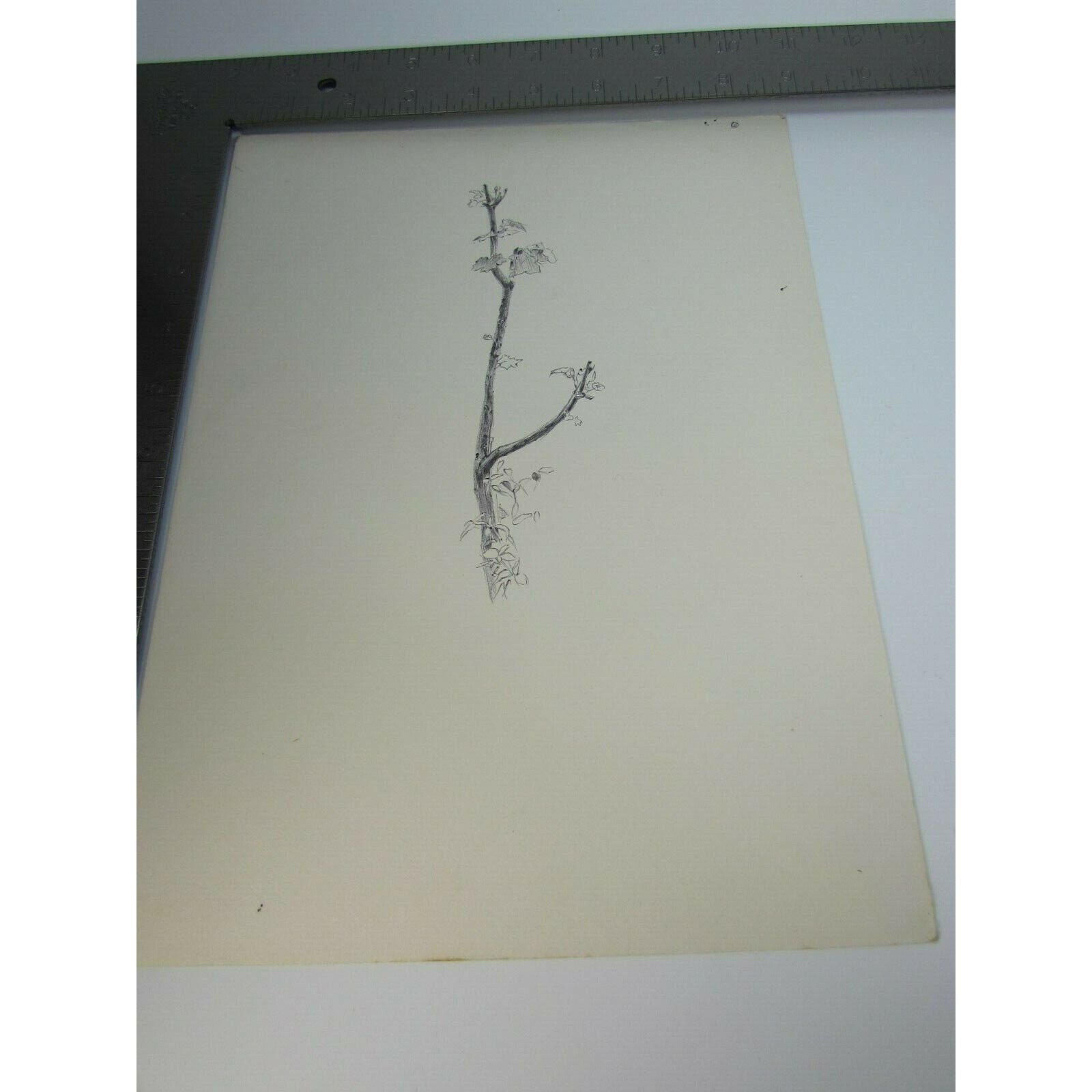 VINTAGE Drawing Sketch Man Silhouette 1976 Artist Susan Wohl - Etsy