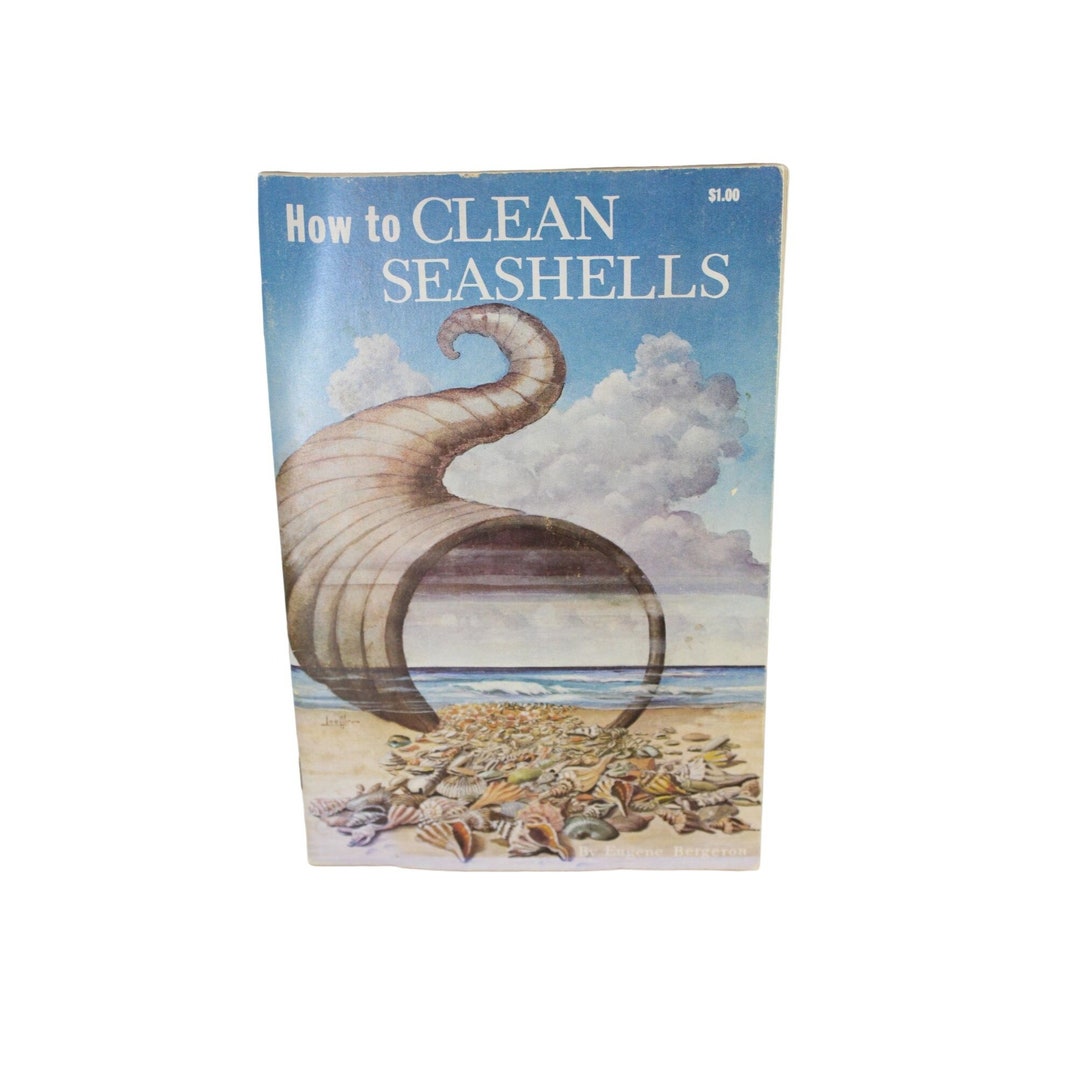 How to Clean Seashells Book Vintage Florida 66478 - Etsy